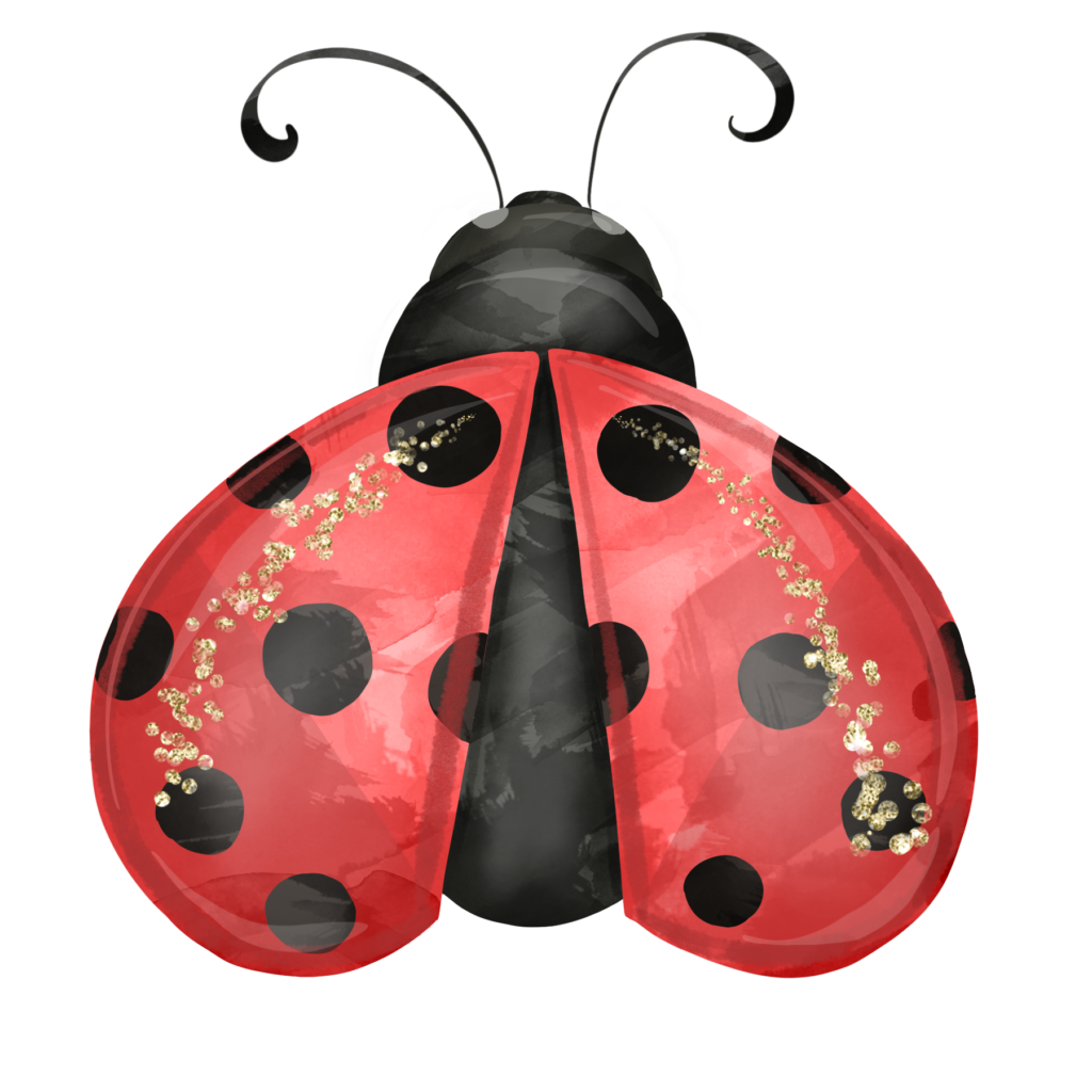 Forest School - Ladybird Lane | Banbridge | County Down