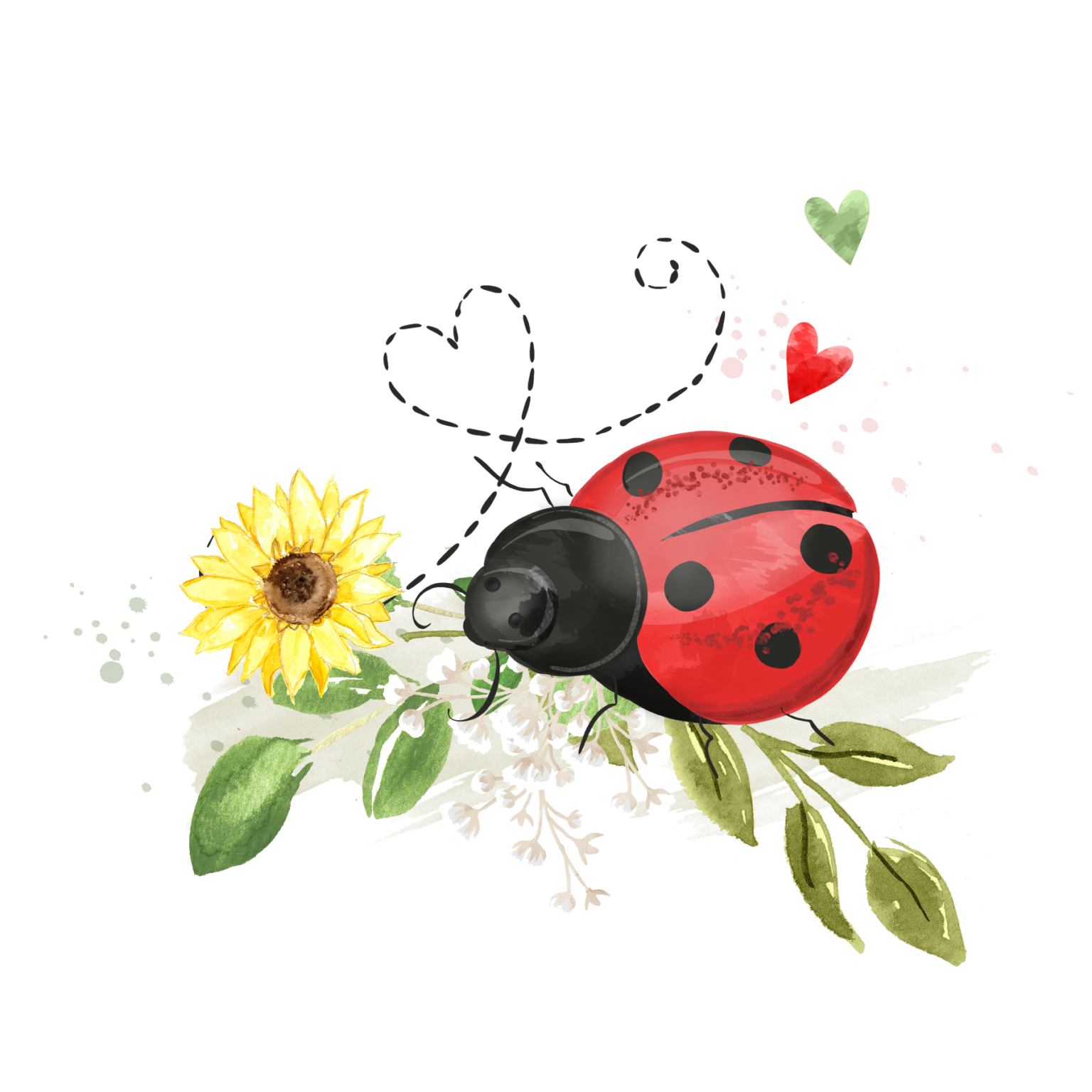 Forest School Ladybird Lane Banbridge County Down forest-school-ladybird-lane-banbridge-county-down