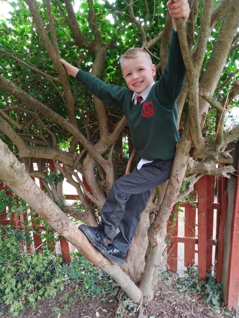After School - Ladybird Lane | Banbridge | County Down