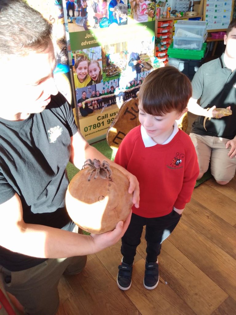 Pre-School | Peags Funded Pre-School - Ladybird Lane | Banbridge ...